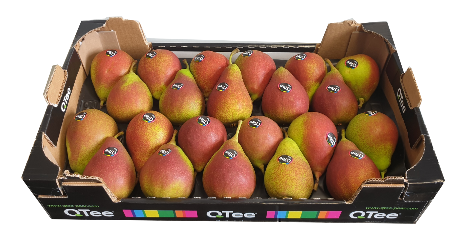 Qtee®, la nouvelle poire colorée de la rentrée - Fruits&Compagnie